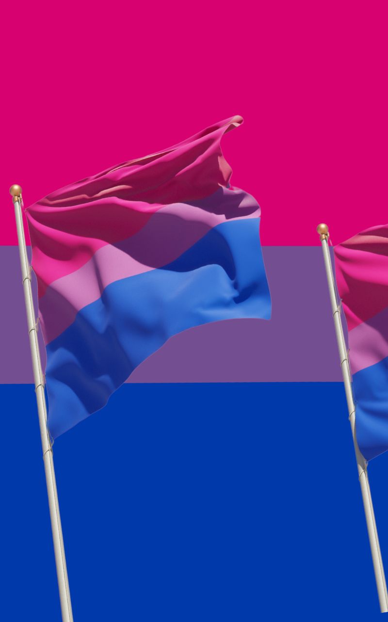 Bisexual Pride | Bi Clothing, Rings, Hats, Flags, Shirts – Rose Gold Co ...